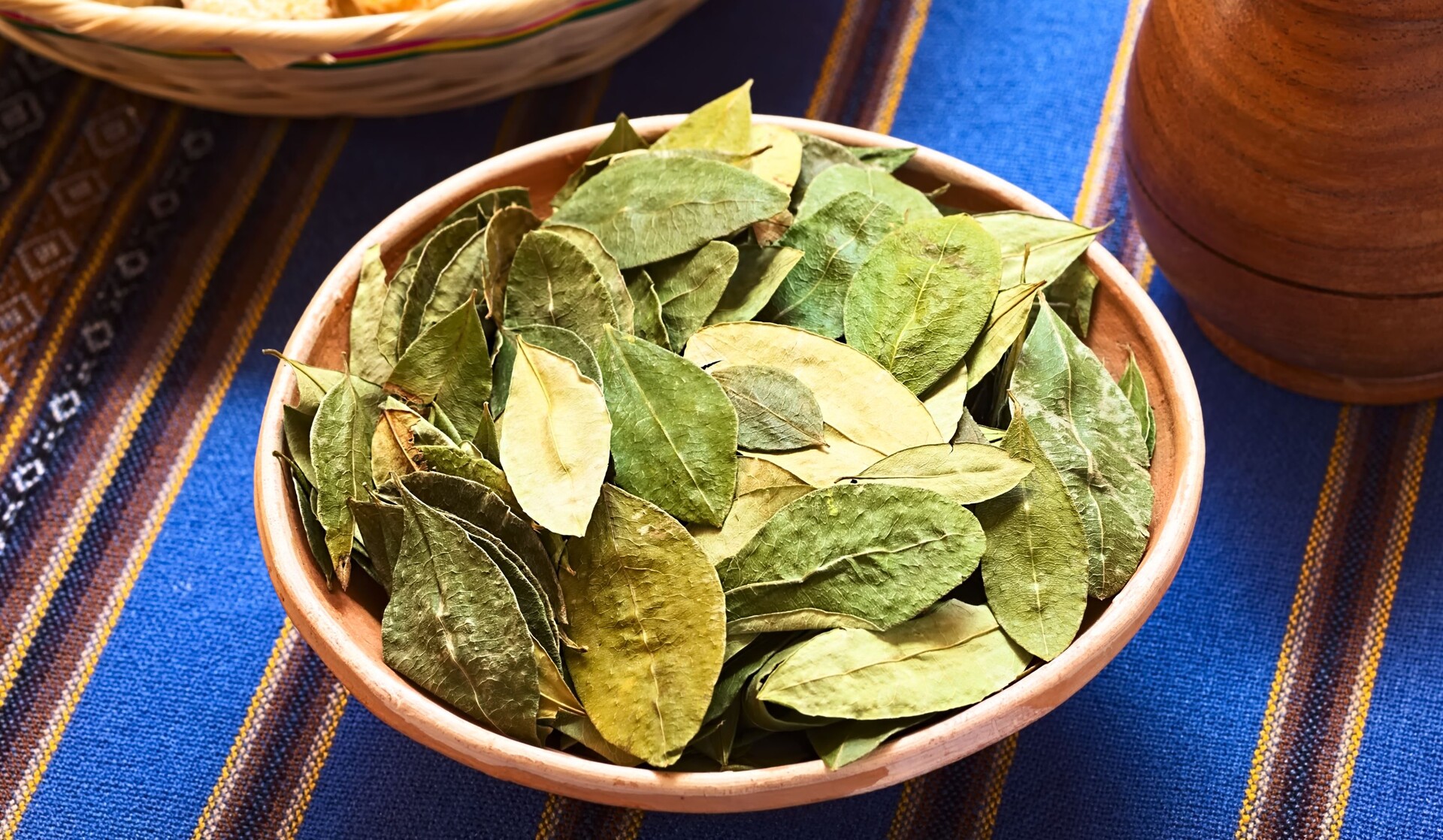 Was ist eigentlich Kokain